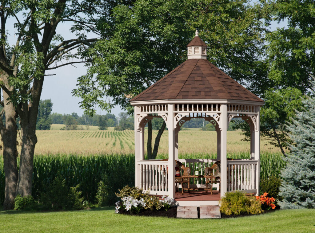 Octagon – Shed Crazy